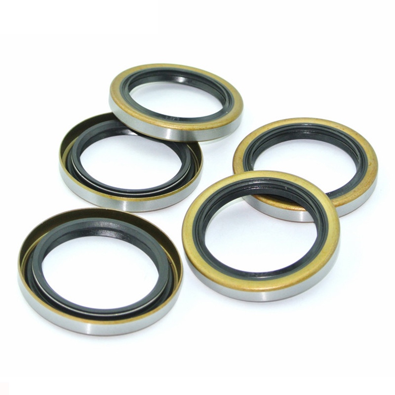 Standard Dkb Scrap Iron Oil Seal Metal Oil Scraper Seal Ring for Excavator