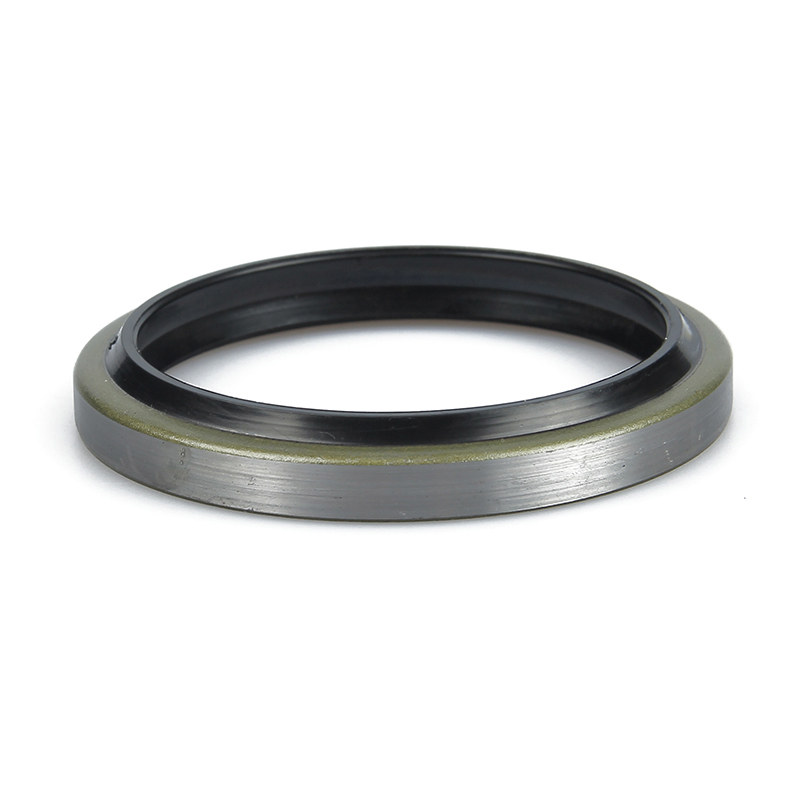 Dkb/Dkbi Hydraulic Cylinder Oil Seal NBR Dust Seal Sealing Ring