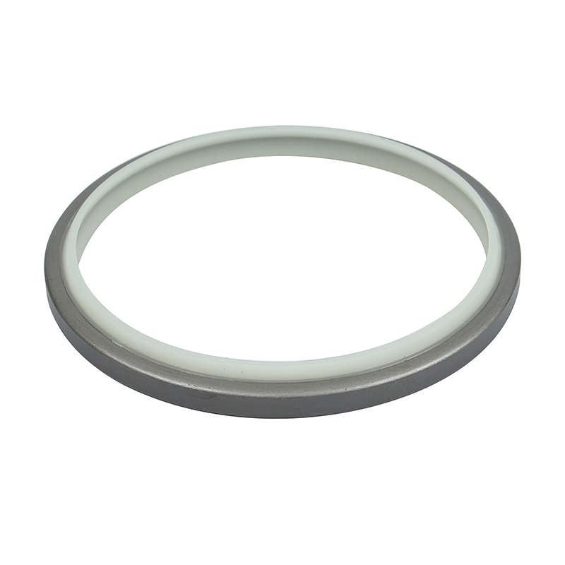 Dkb/Dkbi Hydraulic Cylinder Oil Seal NBR Dust Seal Sealing Ring